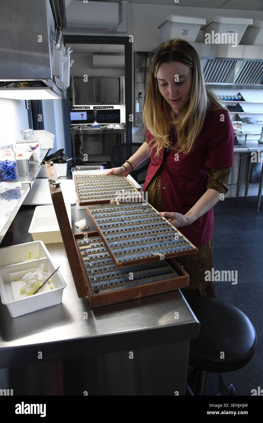 In a laboratory, a woman in a red lab coat observes a large wooden ...