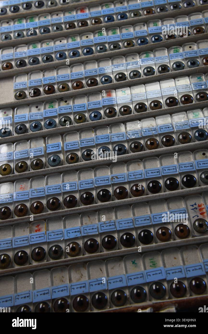 Rows of small, realistic prosthetic eyes of different colors are stored ...
