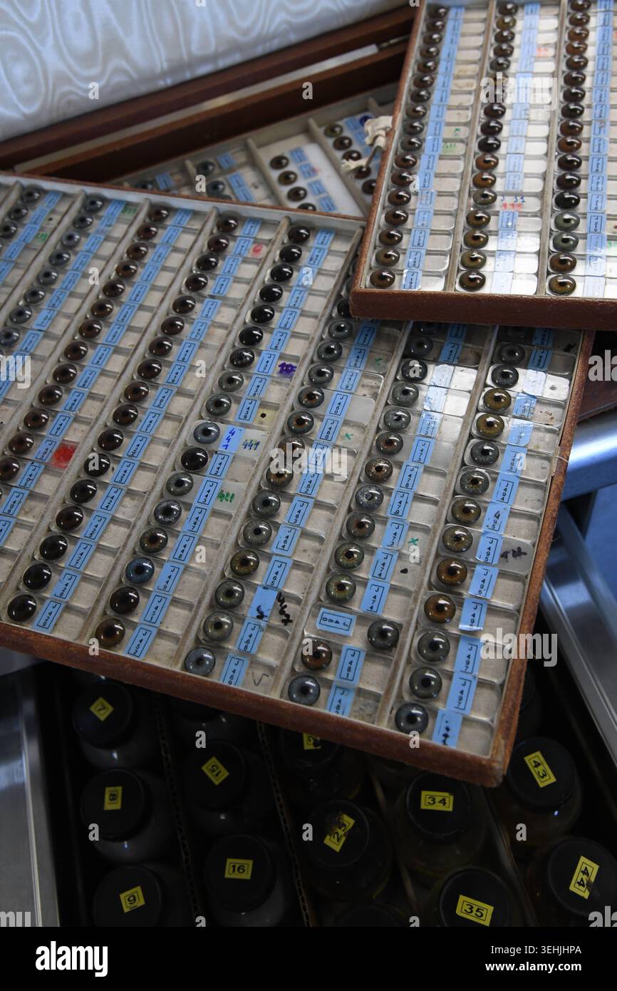 Wooden trays contain numerous small, realistic prosthetic eyes of ...