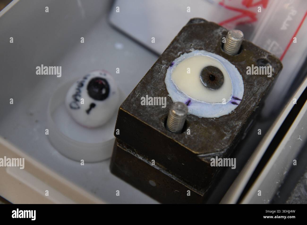 Two ocular prostheses are presented, one resting in a small white ...
