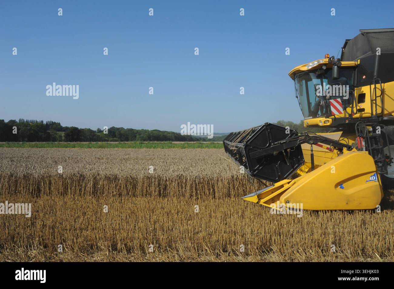 A yellow combine harvester harvests a field of barley under a clear ...
