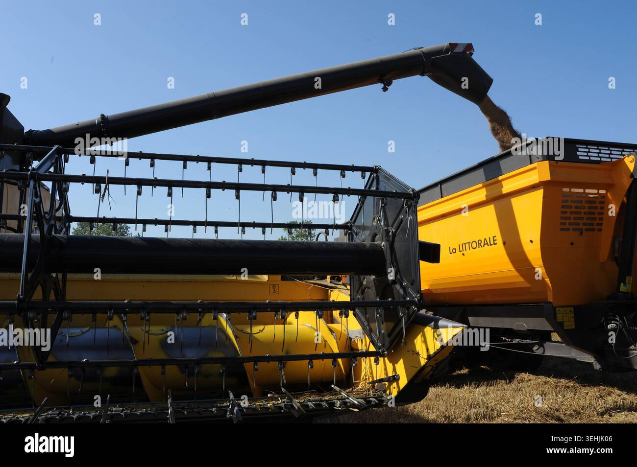 A combine harvester discharges grain through a long black pipe into a ...