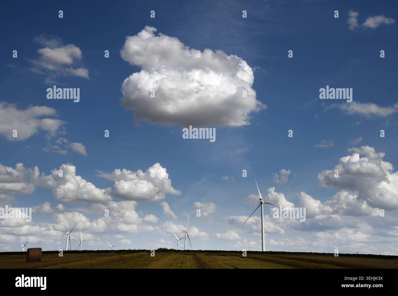 White wind turbines stand in a harvested field under a blue sky with ...