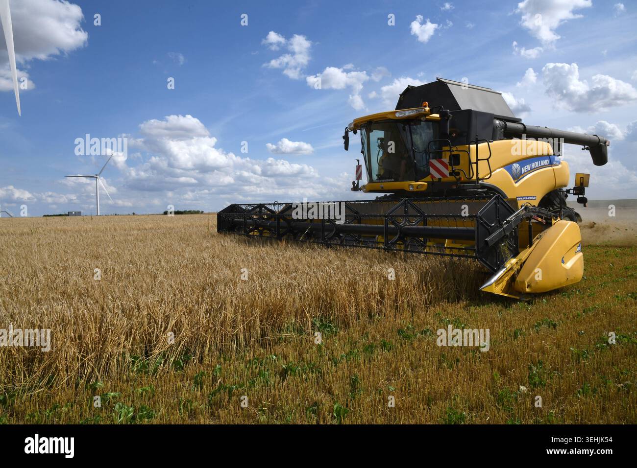 A yellow combine harvester harvests a field of golden barley under a ...