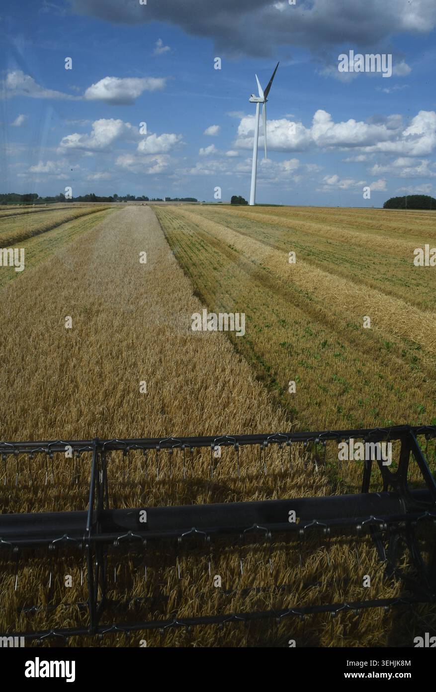 A combine harvester s header faces a field of golden barley. In the ...