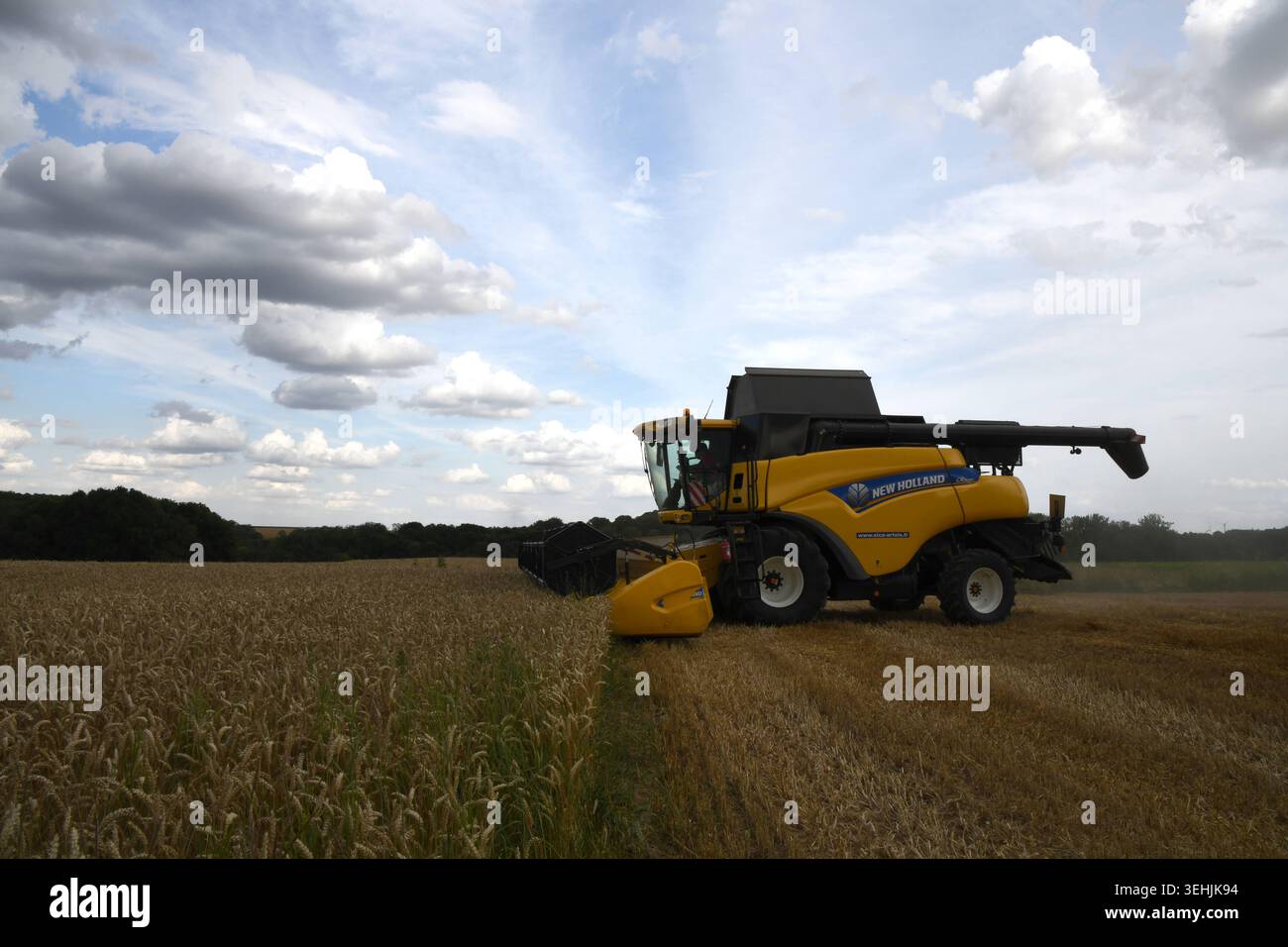 A yellow combine harvester harvests a field of barley under a cloudy ...
