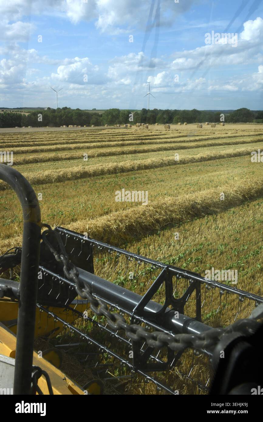 A yellow agricultural machine with a black metal rake is in a field of ...