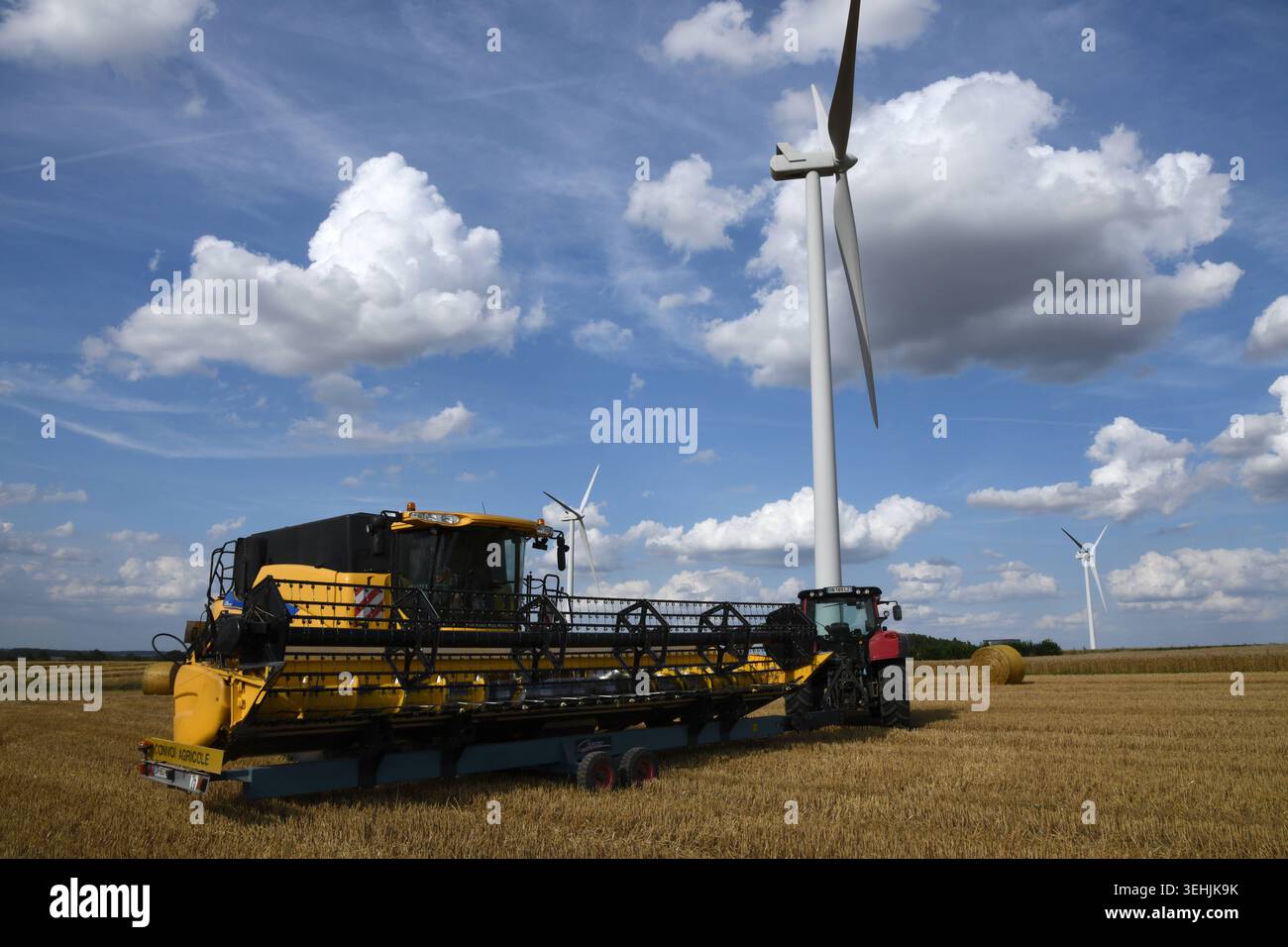 A yellow combine harvester on a trailer is towed by a red tractor ...