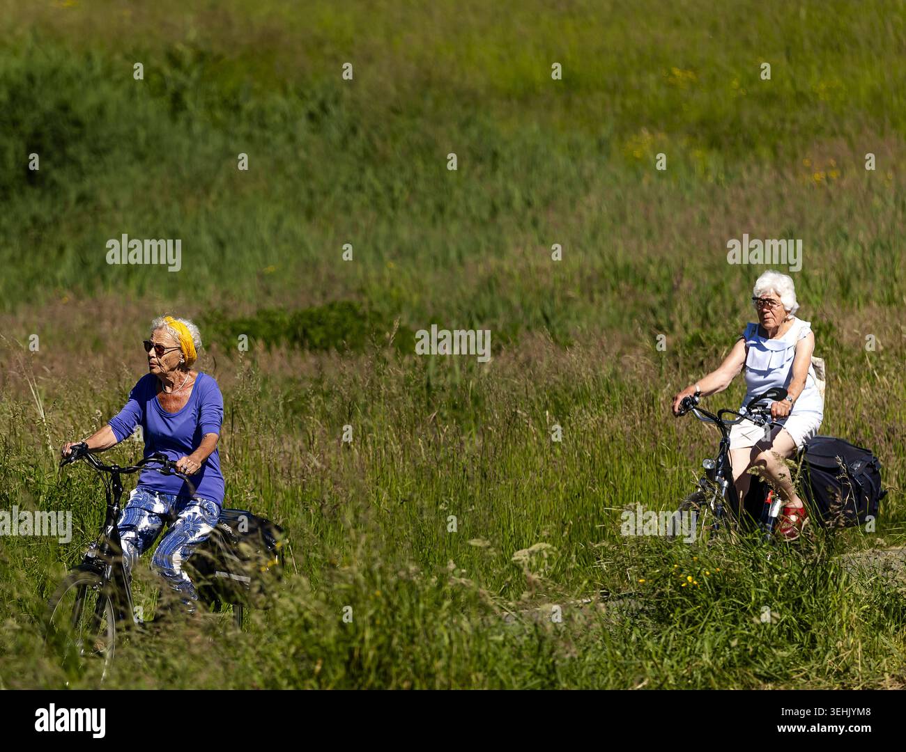 MUIDEN - Recreationists are enjoying the lovely weather in Muiden. On ...