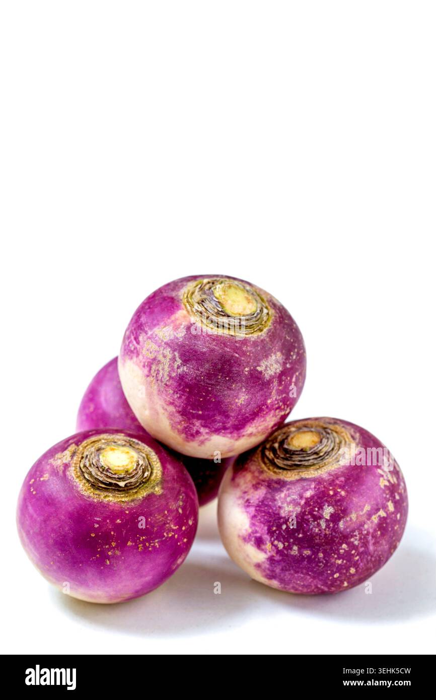 Four purple turnips Brassica rapa are stacked against a white ...