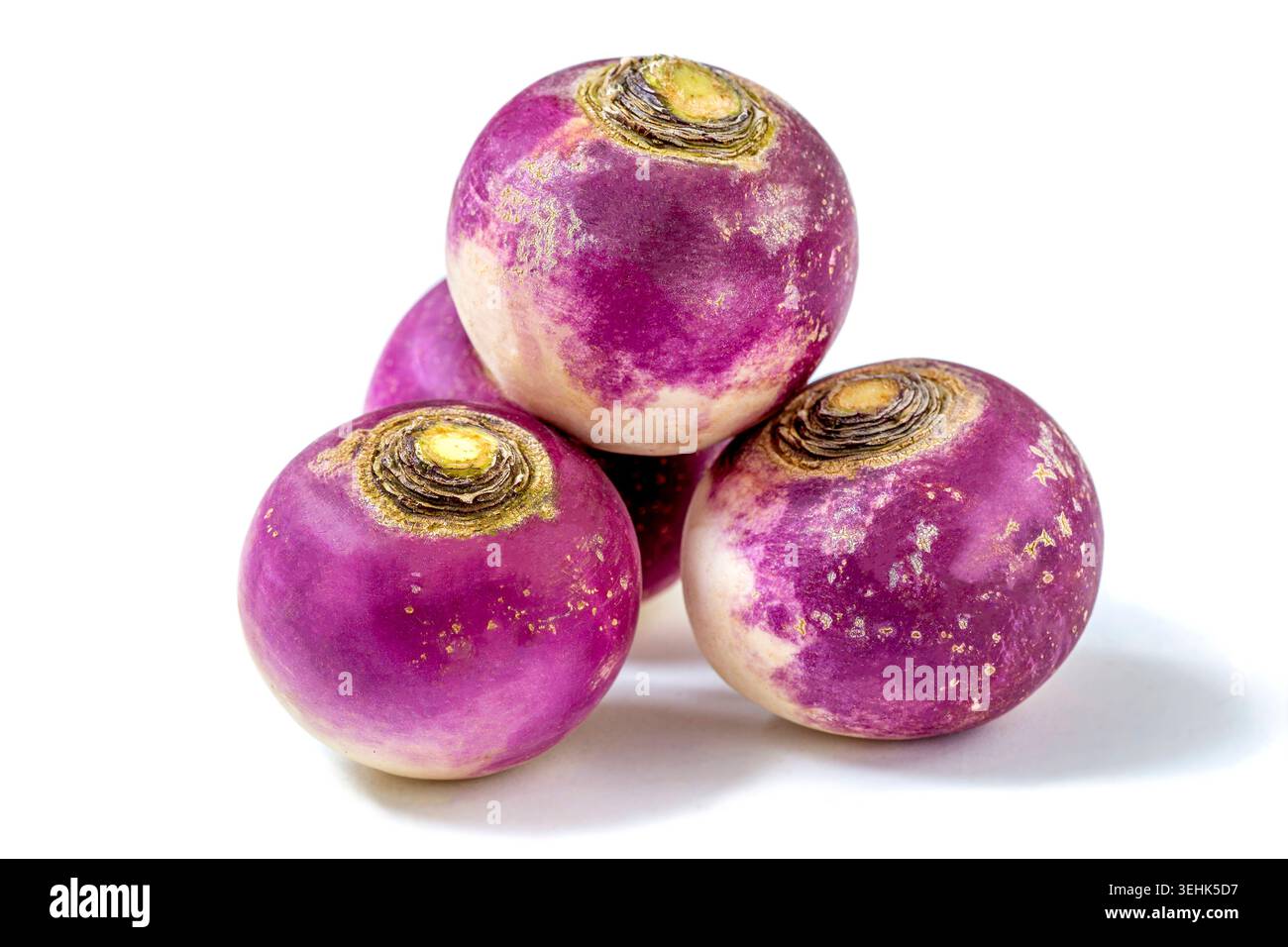 Four purple turnips Brassica rapa are stacked on a white background ...