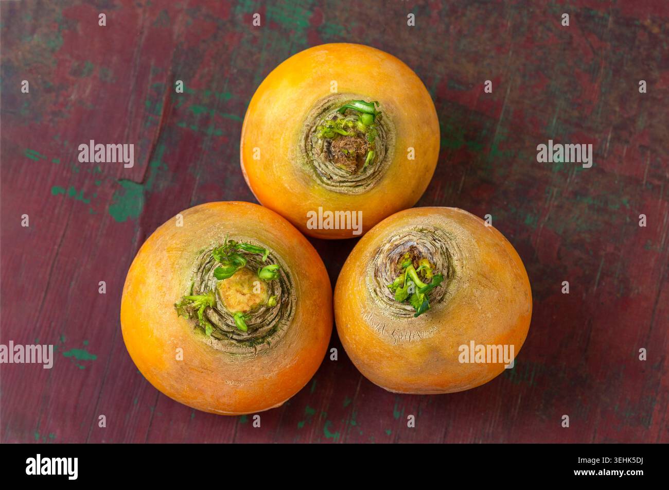 Three yellow beets Beta vulgaris are positioned on a red and green ...