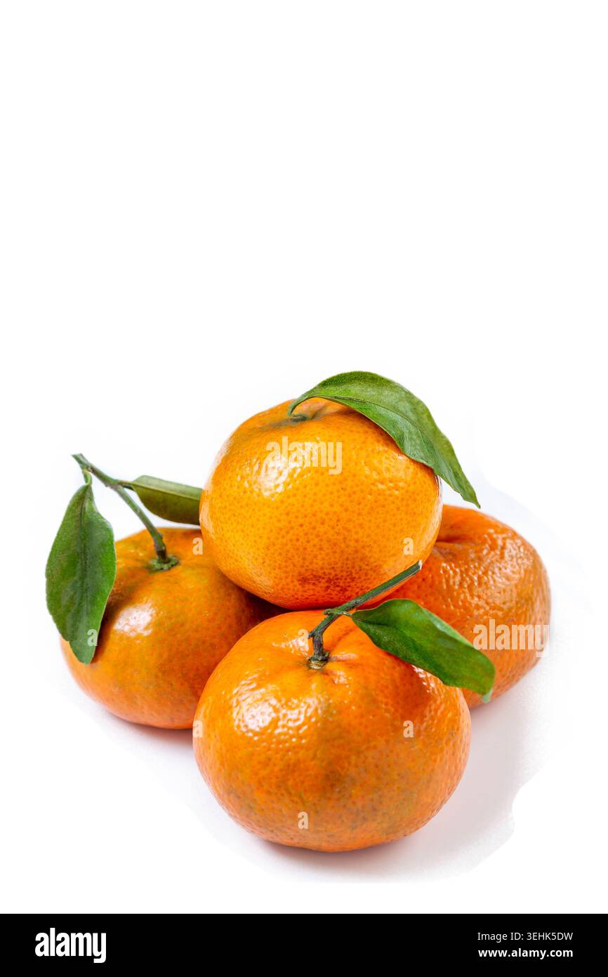 Four mandarin oranges Citrus reticulata with green leaves are ...