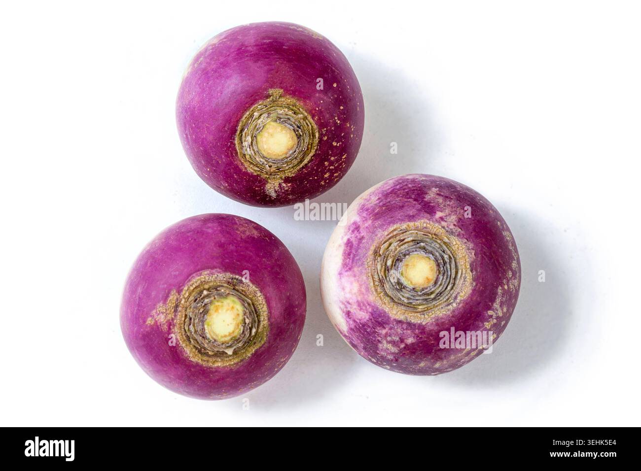 Three purple turnips Brassica rapa are positioned on a white background ...