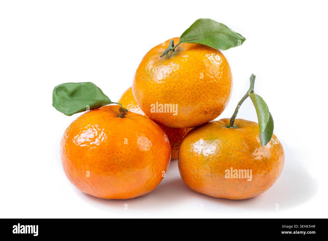 Four mandarins Citrus reticulata with attached green leaves are stacked ...
