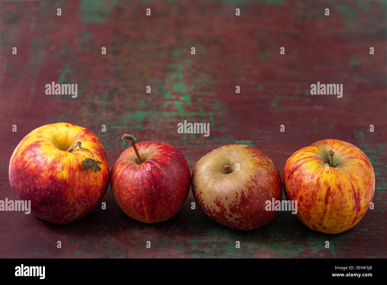 Four apples Malus domestica with red and yellow skin are aligned ...