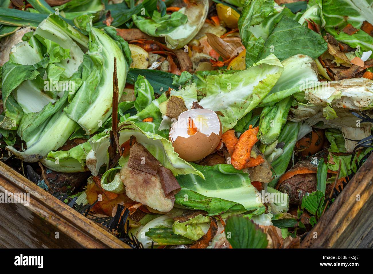 Organic waste, including cabbage leaves, carrot peels, and an eggshell ...