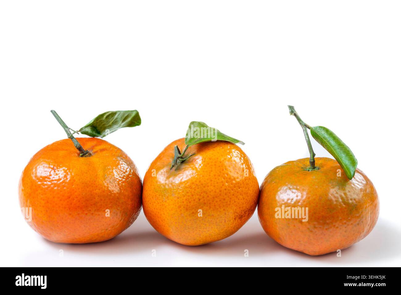 Three mandarin oranges Citrus reticulata with attached stems and green ...
