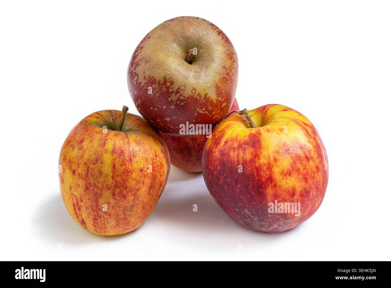 Four apples Malus domestica with red and yellow skin are stacked on a ...