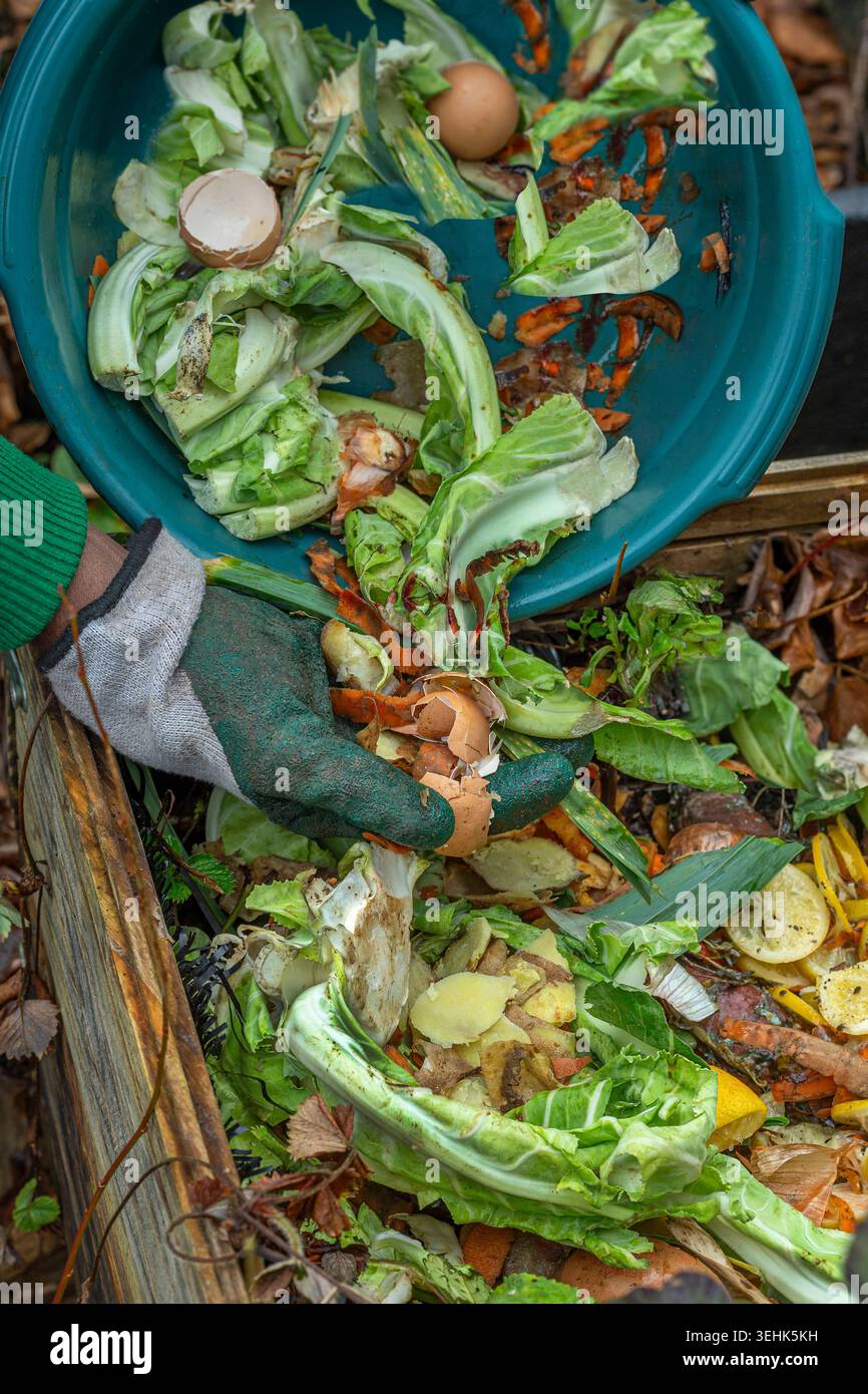 A person wearing a protective glove pours organic waste, including ...