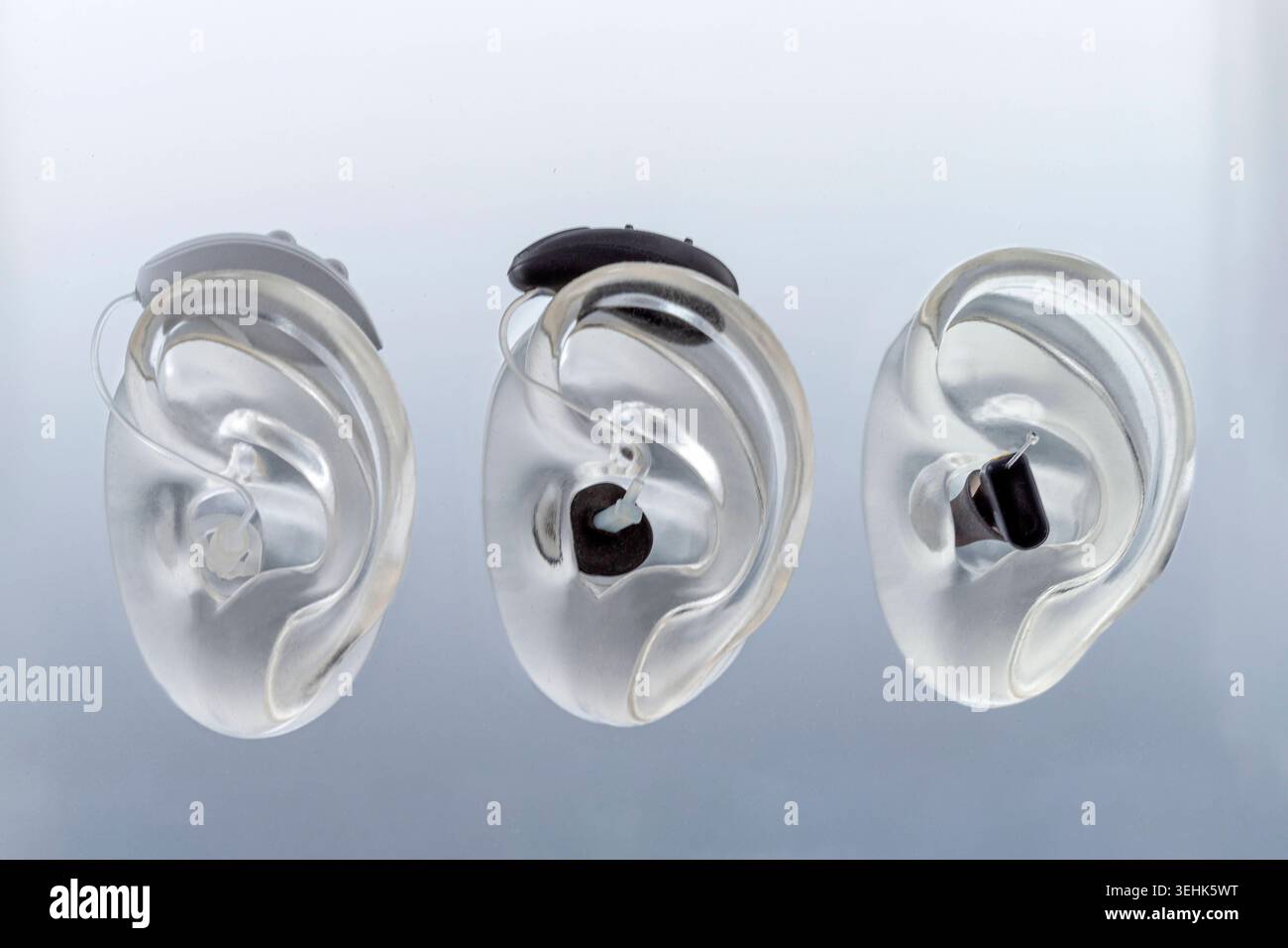 Three transparent anatomical models of the human auricle, each ...