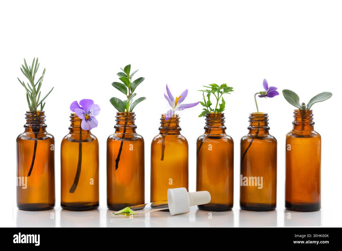 Seven amber glass bottles contain rosemary, pansy, boxwood ...
