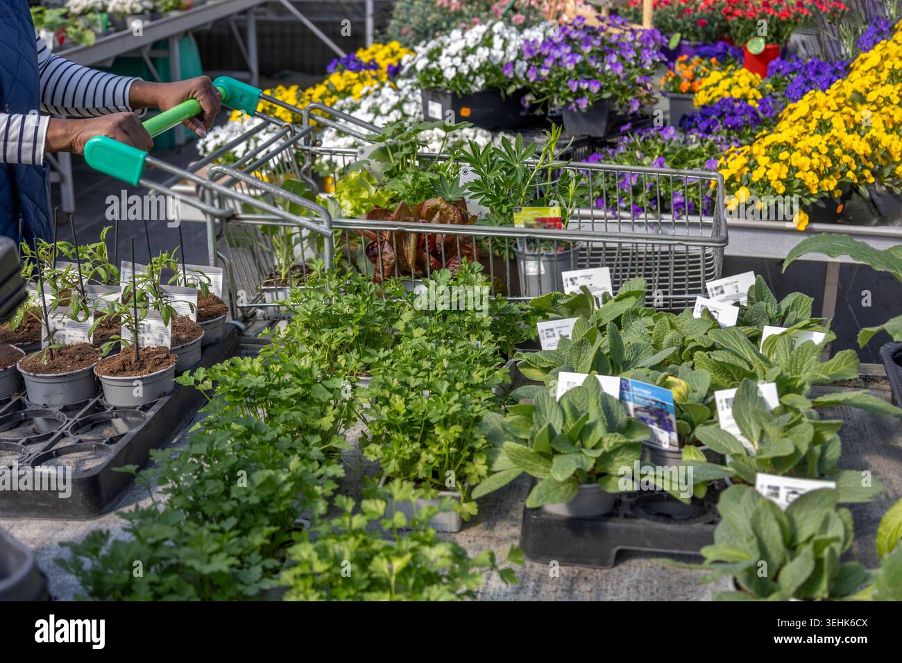 A person pushes a cart containing plants. In the foreground, there are ...