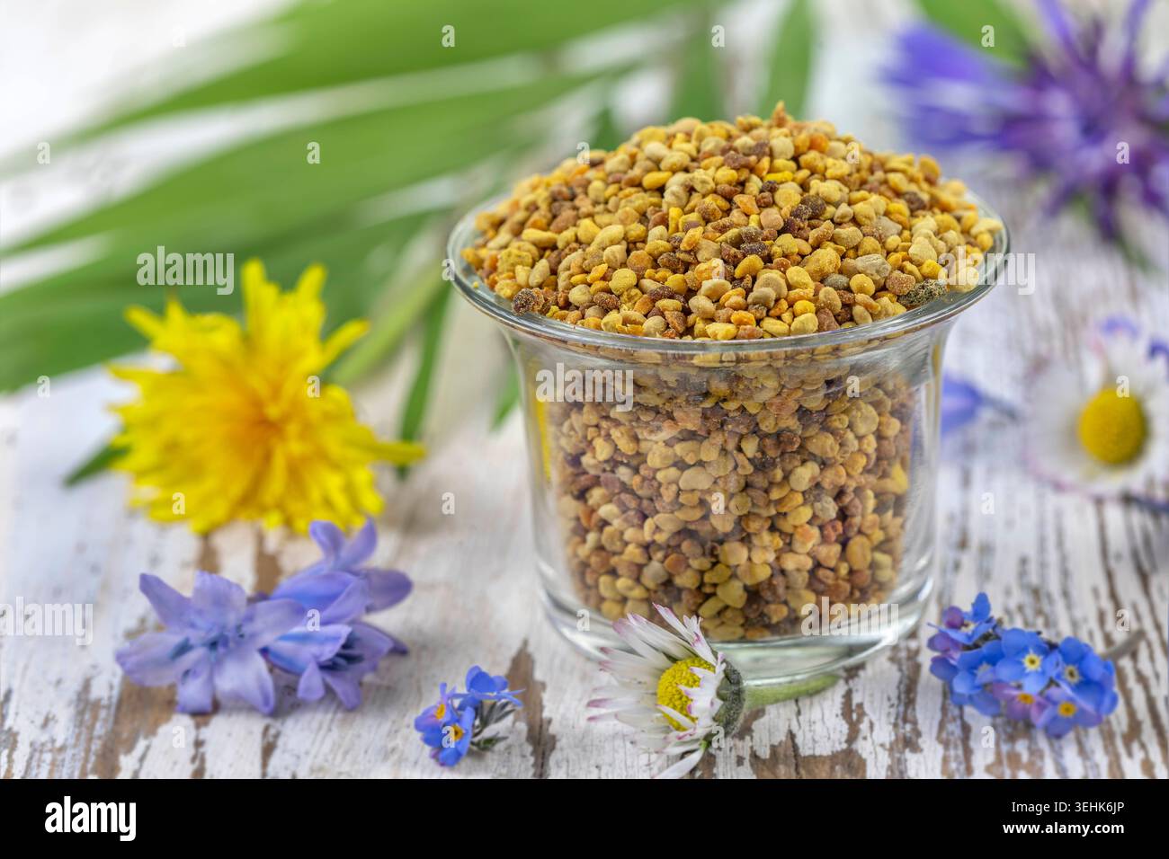 A glass container filled with bee pollen is surrounded by a dandelion ...