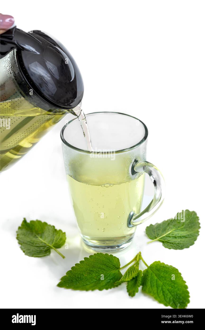 A glass teapot pours a yellow liquid into a glass mug. Several green ...