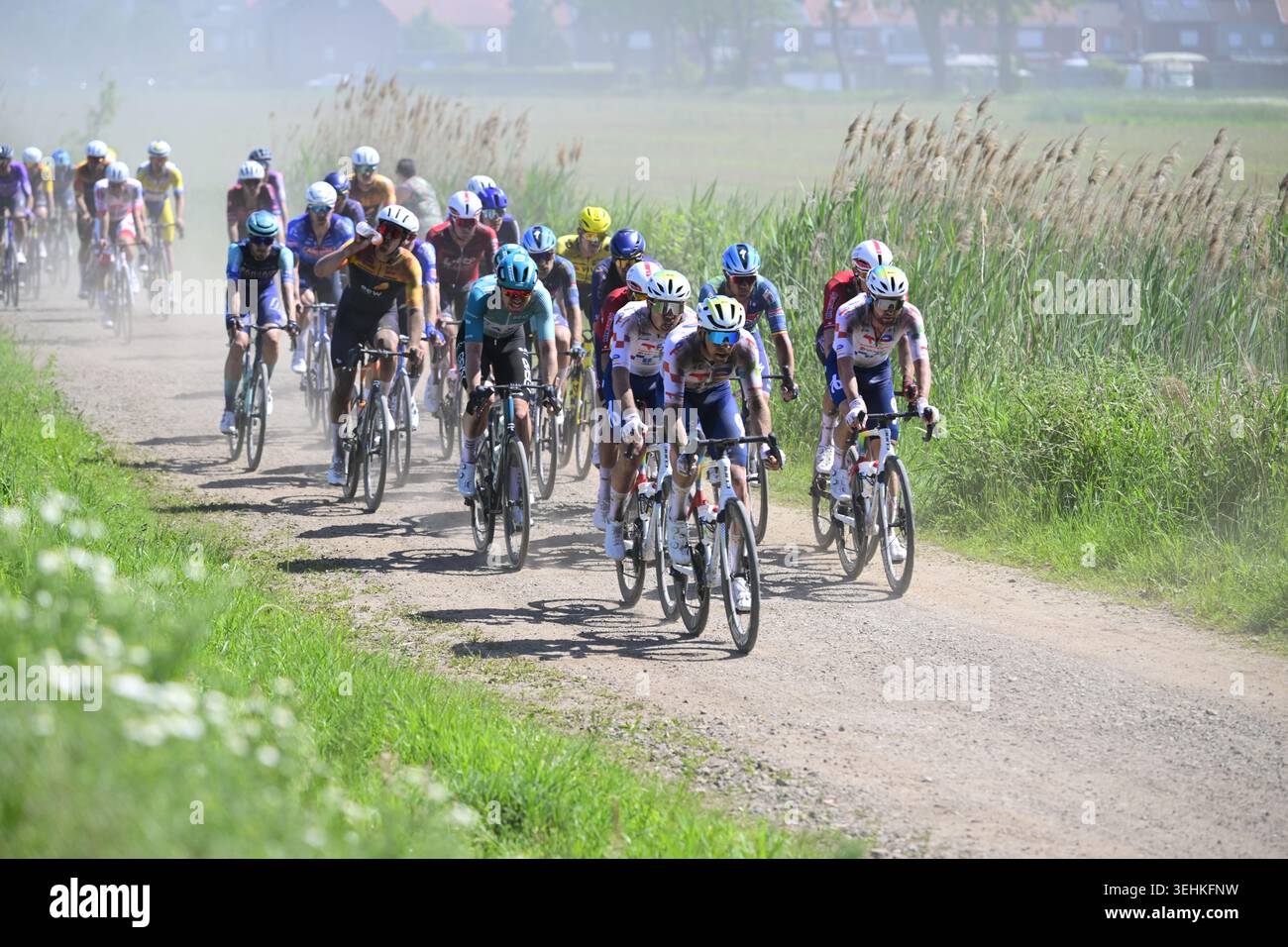 The pack of riders pictured in action during the 'Antwerp Port Epic men ...