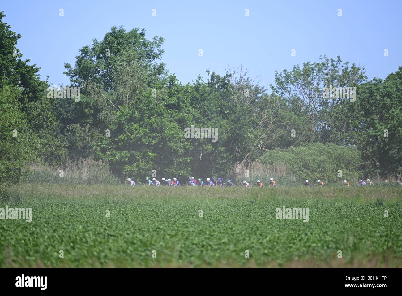 The pack of riders pictured in action during the 'Antwerp Port Epic men ...