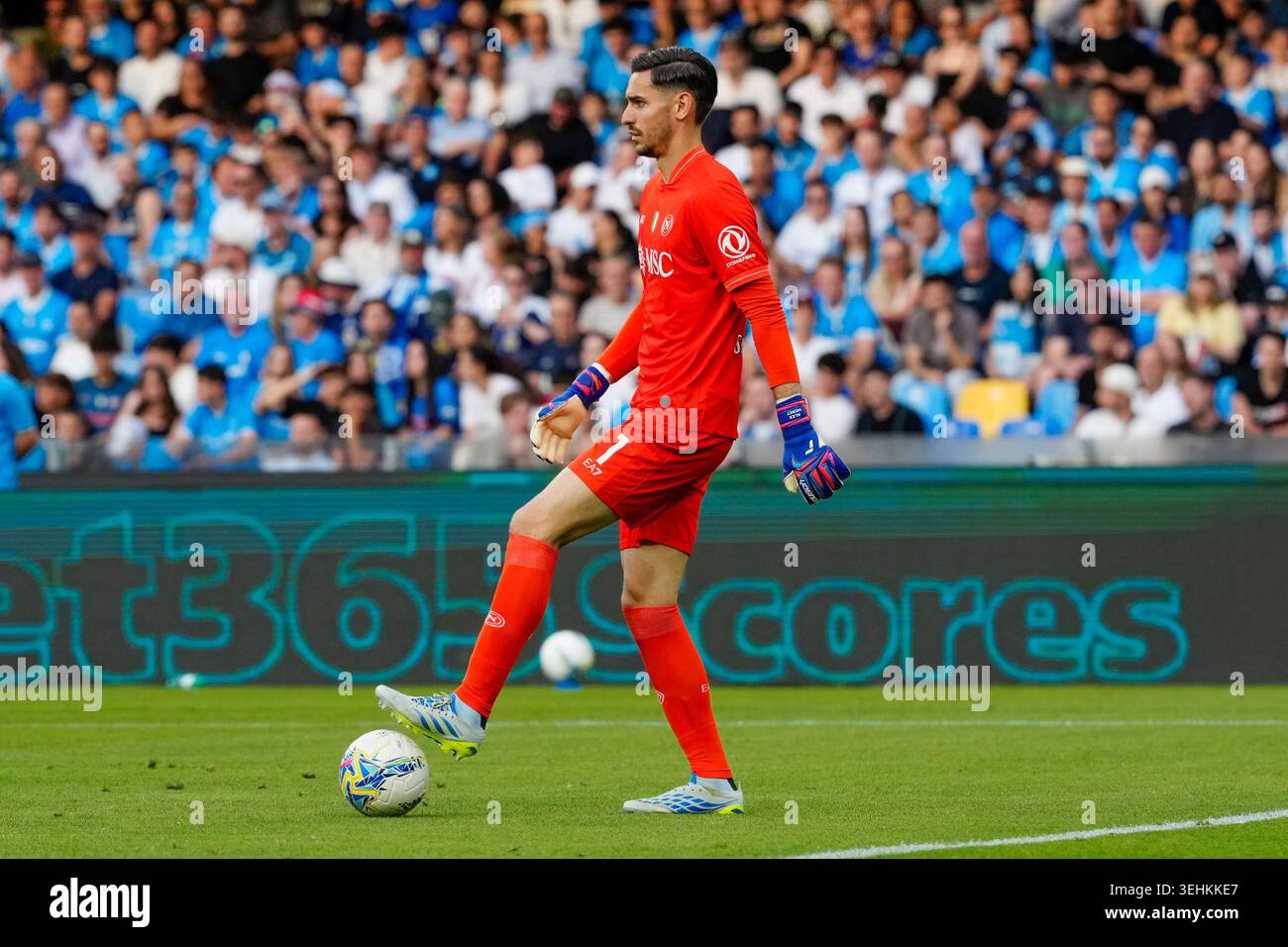 Naples, Italy. 24 May, 2026. Alex Meret of SSC Napoli during the Serie ...