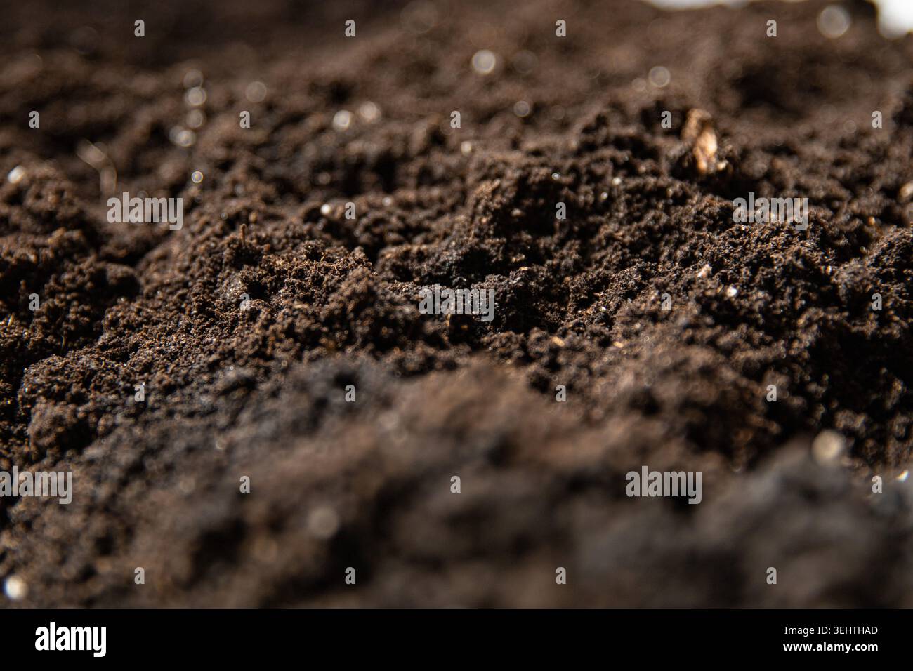 Dark fertile soil texture close up with natural organic ground and ...