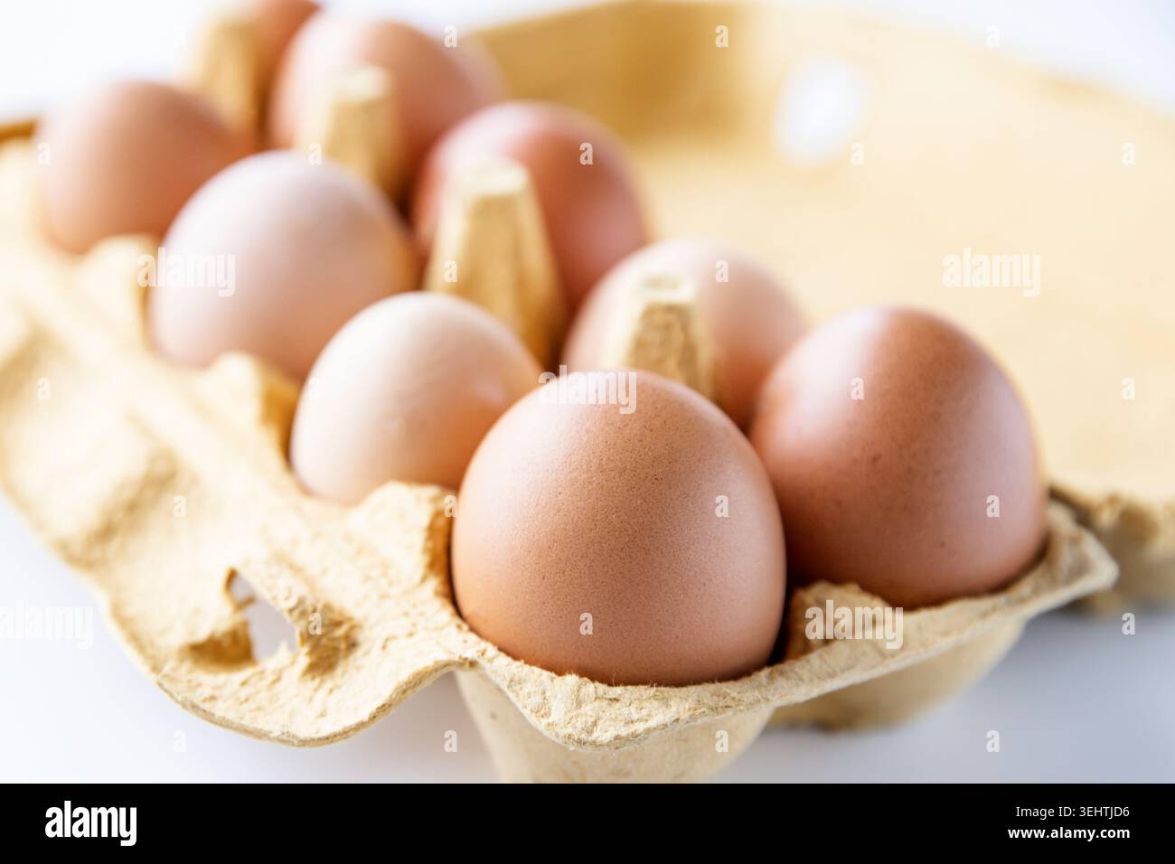 Fresh brown chicken eggs arranged in cardboard carton tray on light ...