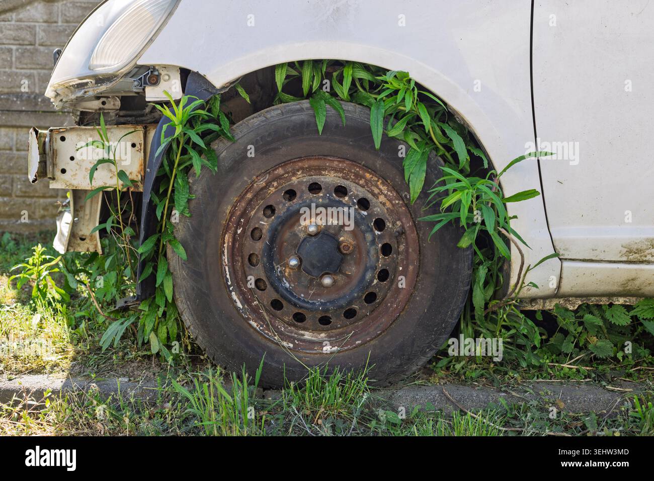 Green Plants Growing Around Rusty Car Wheel Stock Photo - Alamy