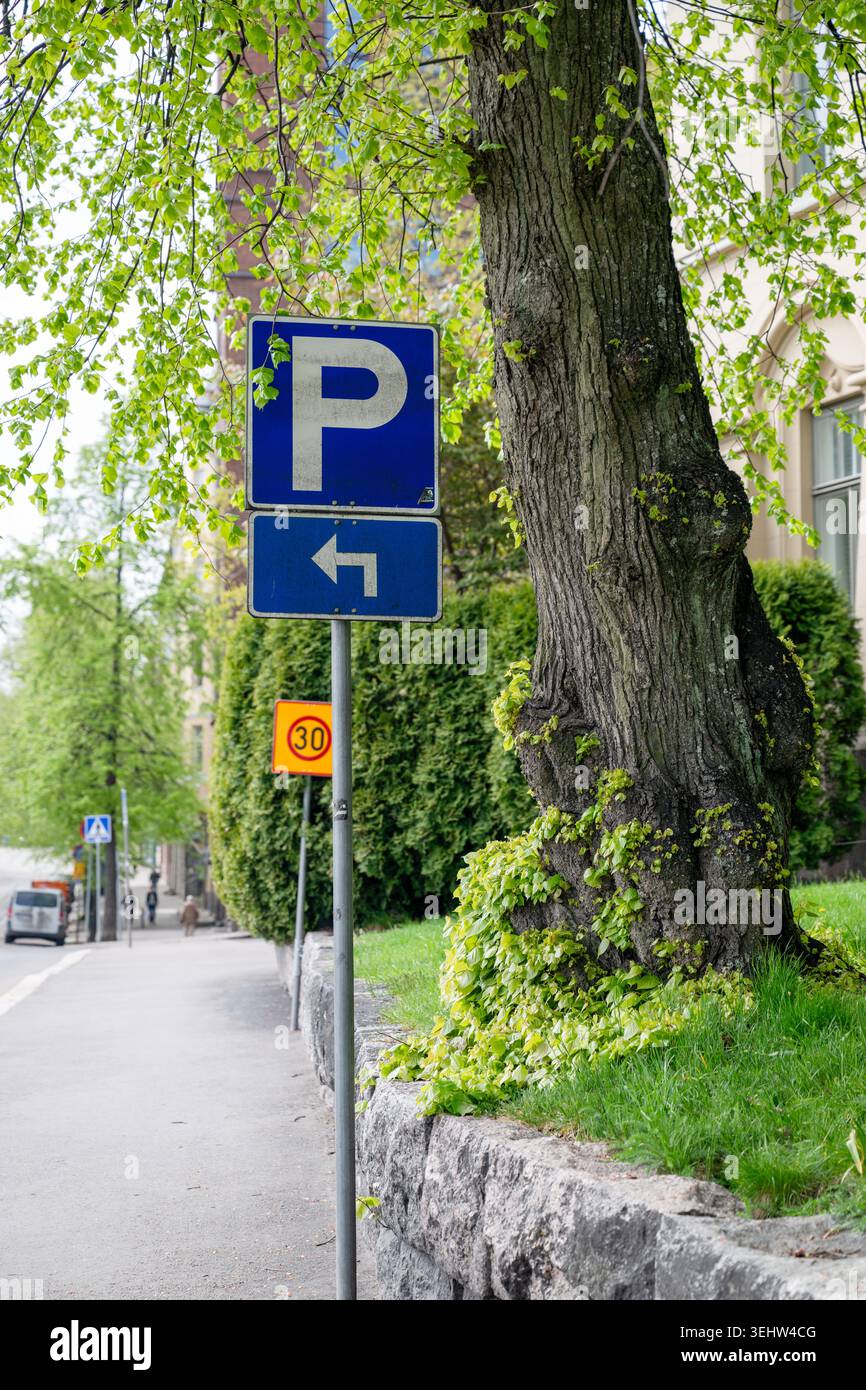 Urban parking sign near old tree on green city street in spring season ...