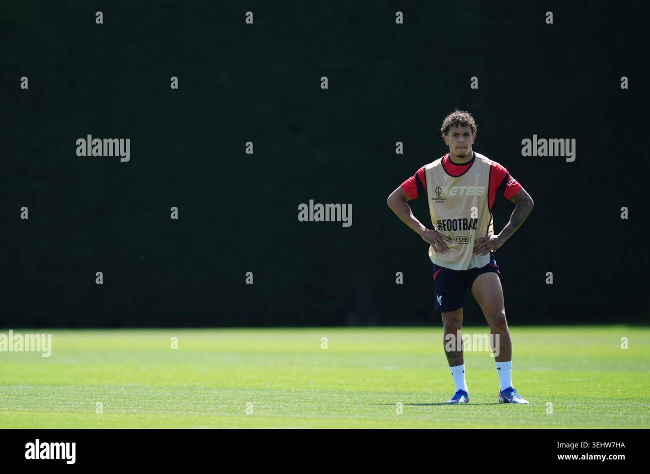 Crystal Palace's Rio Cardines during a training session at Crystal ...
