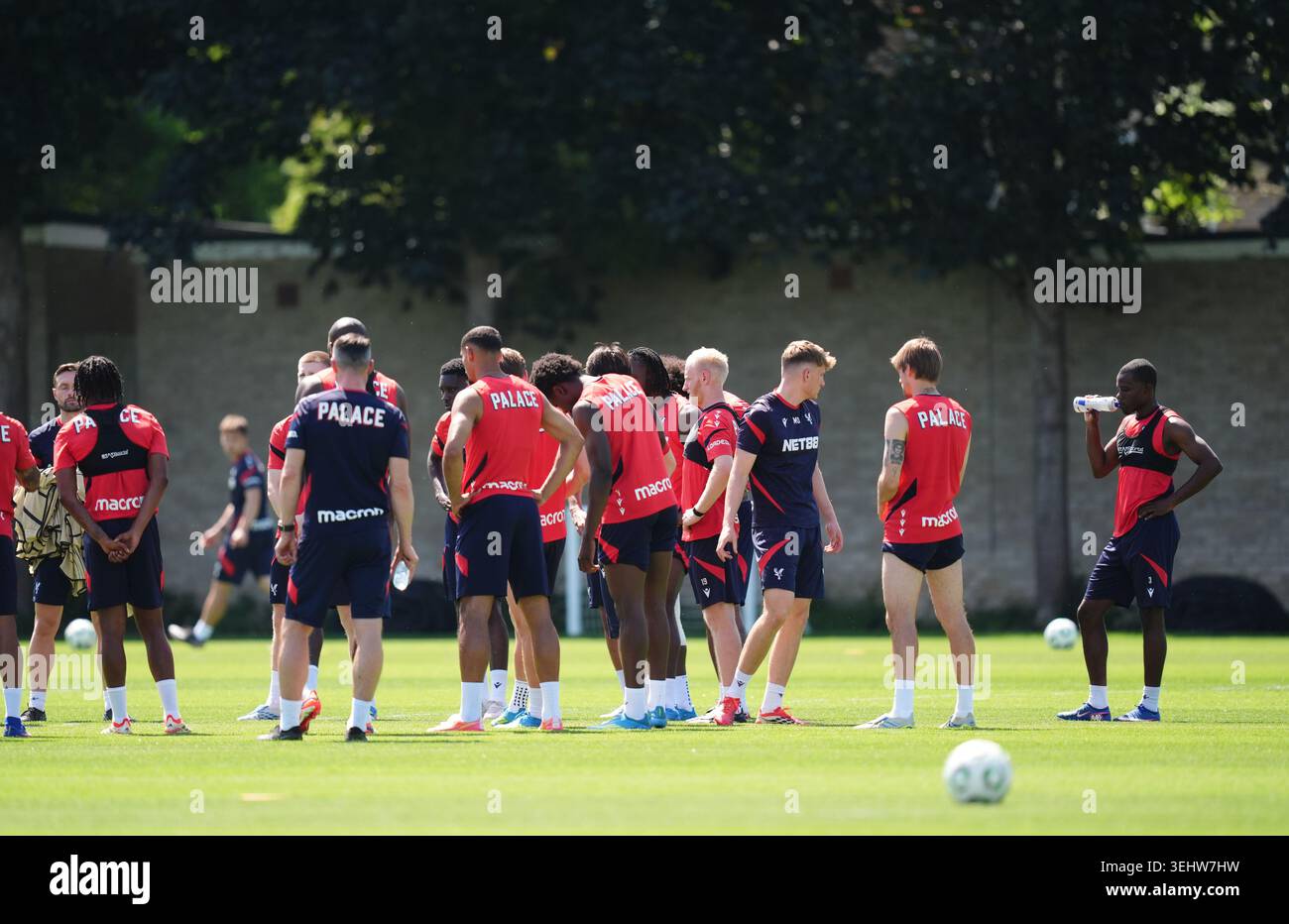 Crystal Palace players during a training session at Crystal Palace ...