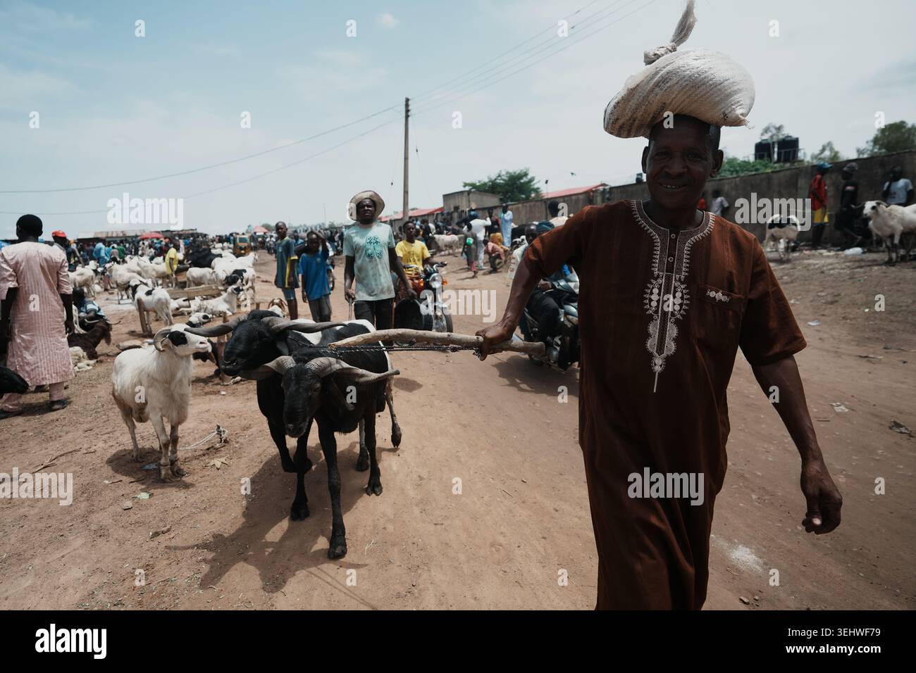 A man sell rams ahead of Eid Al-Adha celebrations at a livestock market ...