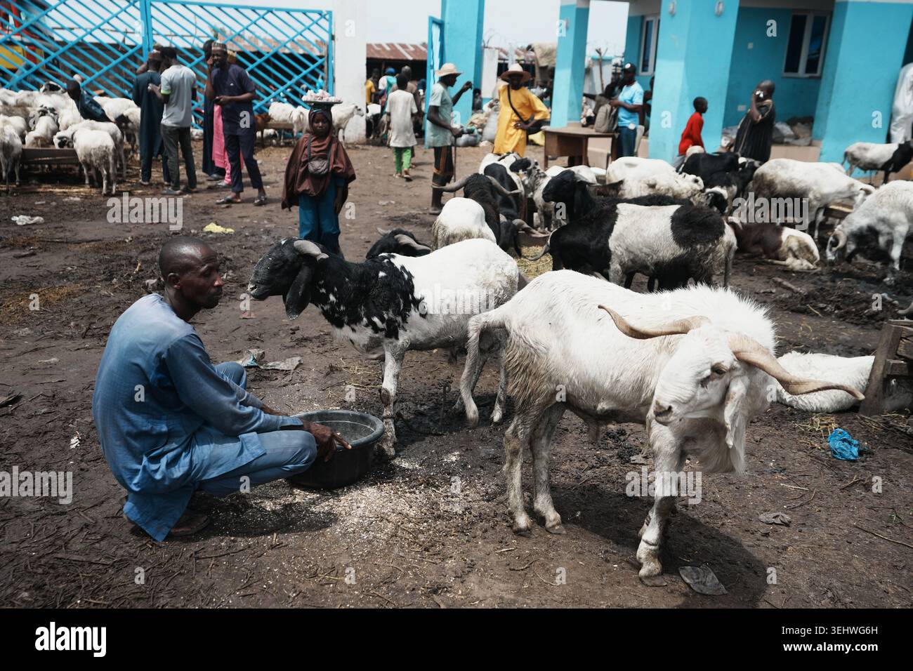 People sell rams ahead of Eid Al-Adha celebrations at a livestock ...