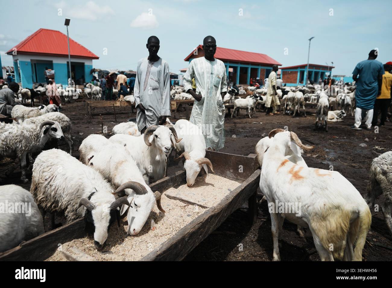People sell rams ahead of Eid Al-Adha celebrations at a livestock ...