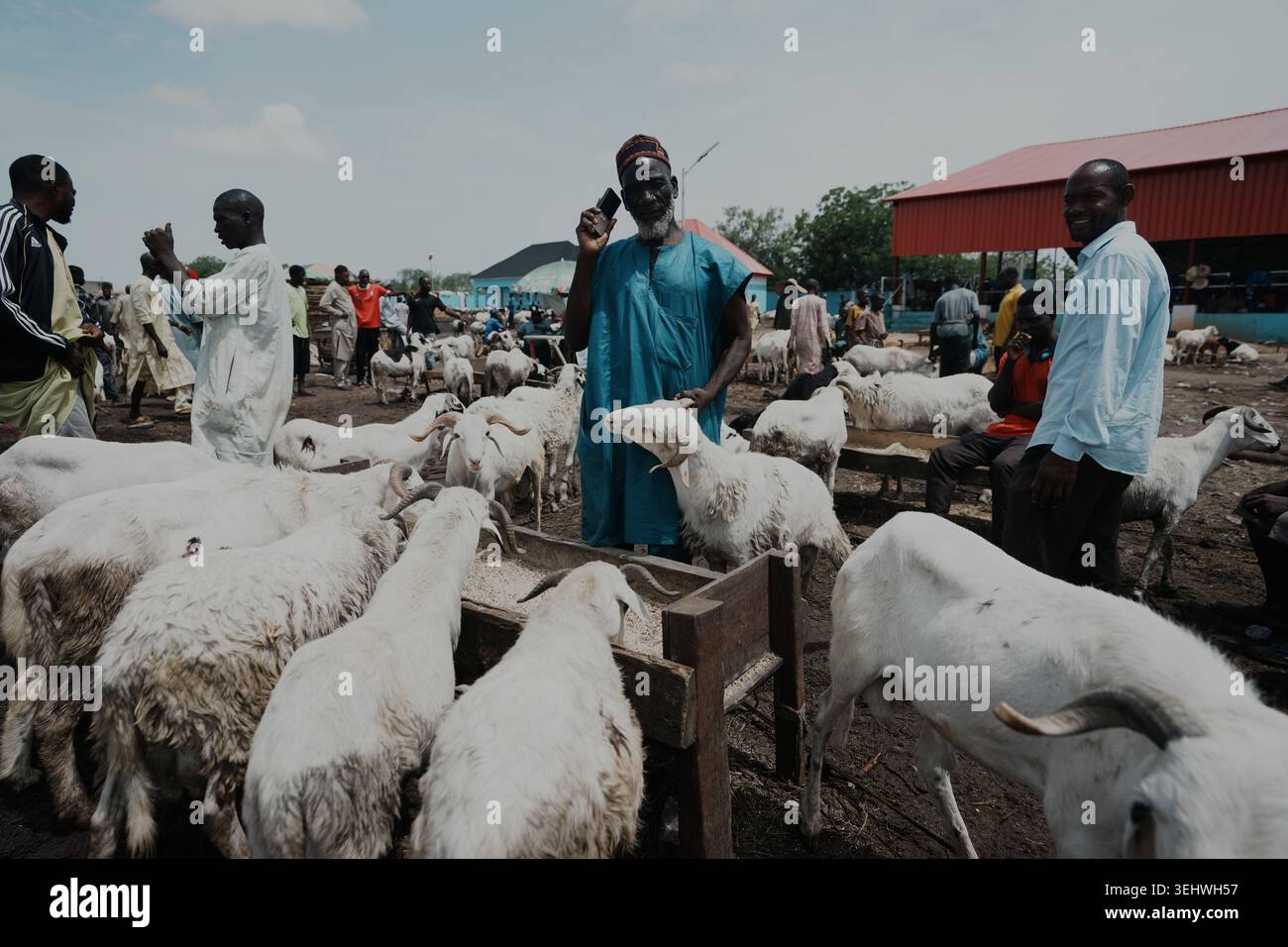 People sell rams ahead of Eid Al-Adha celebrations at a livestock ...