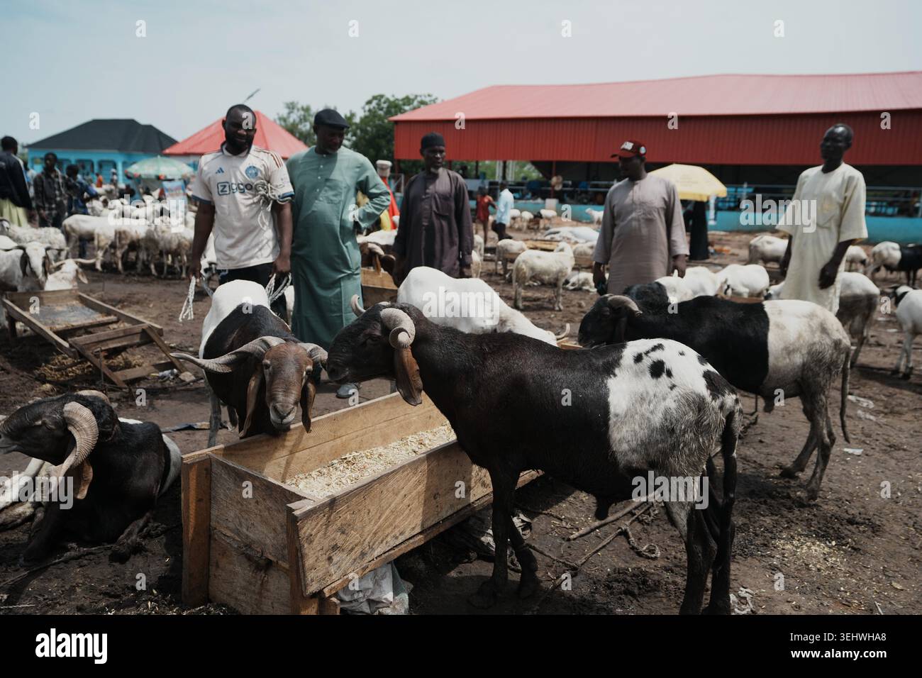 People sell rams ahead of Eid Al-Adha celebrations at a livestock ...