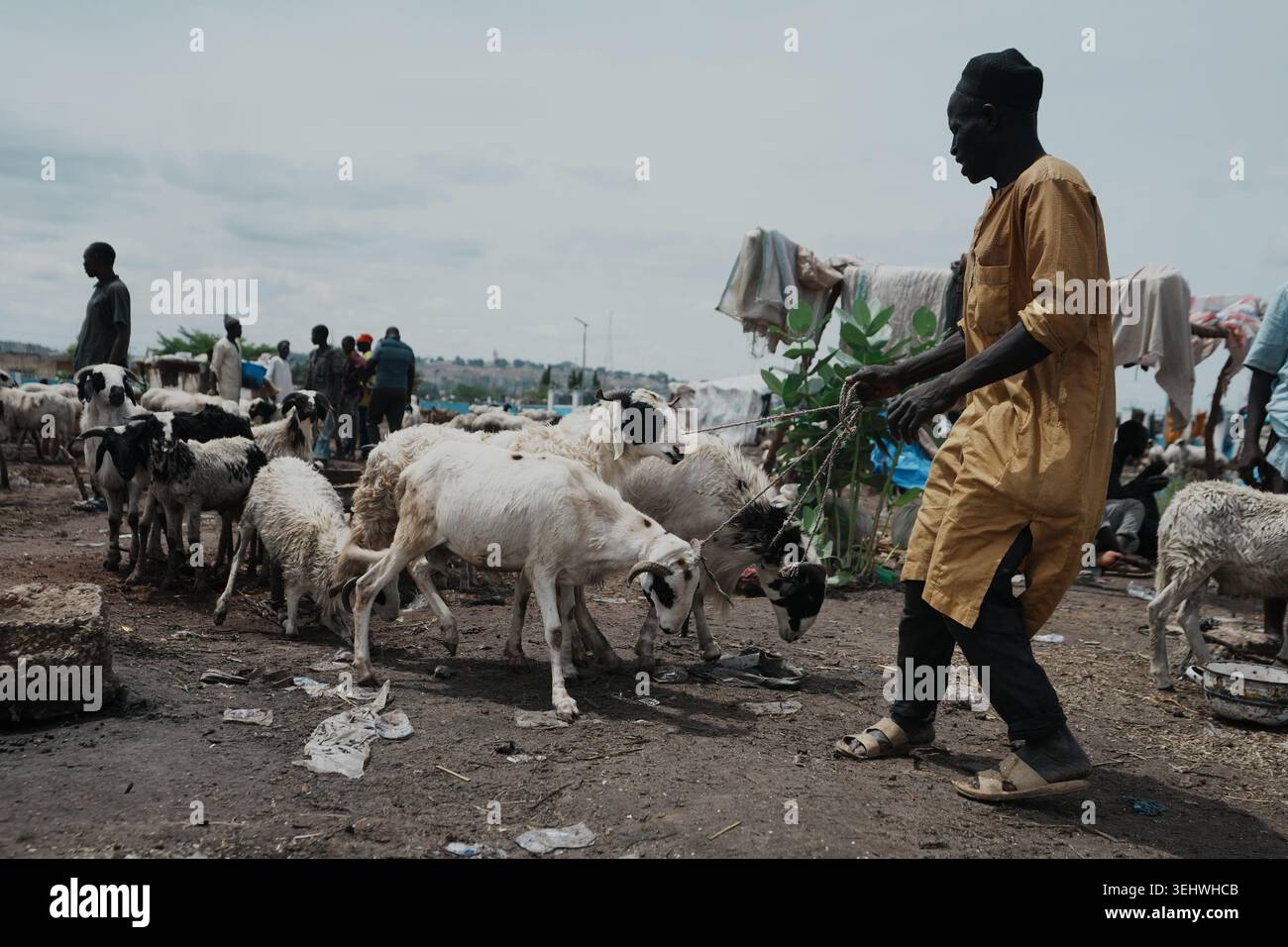 A man sell rams ahead of Eid Al-Adha celebrations at a livestock market ...