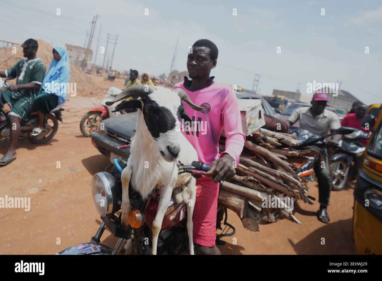 A motorbike taxi rider travels with a ram bought ahead of Eid Al-Adha ...