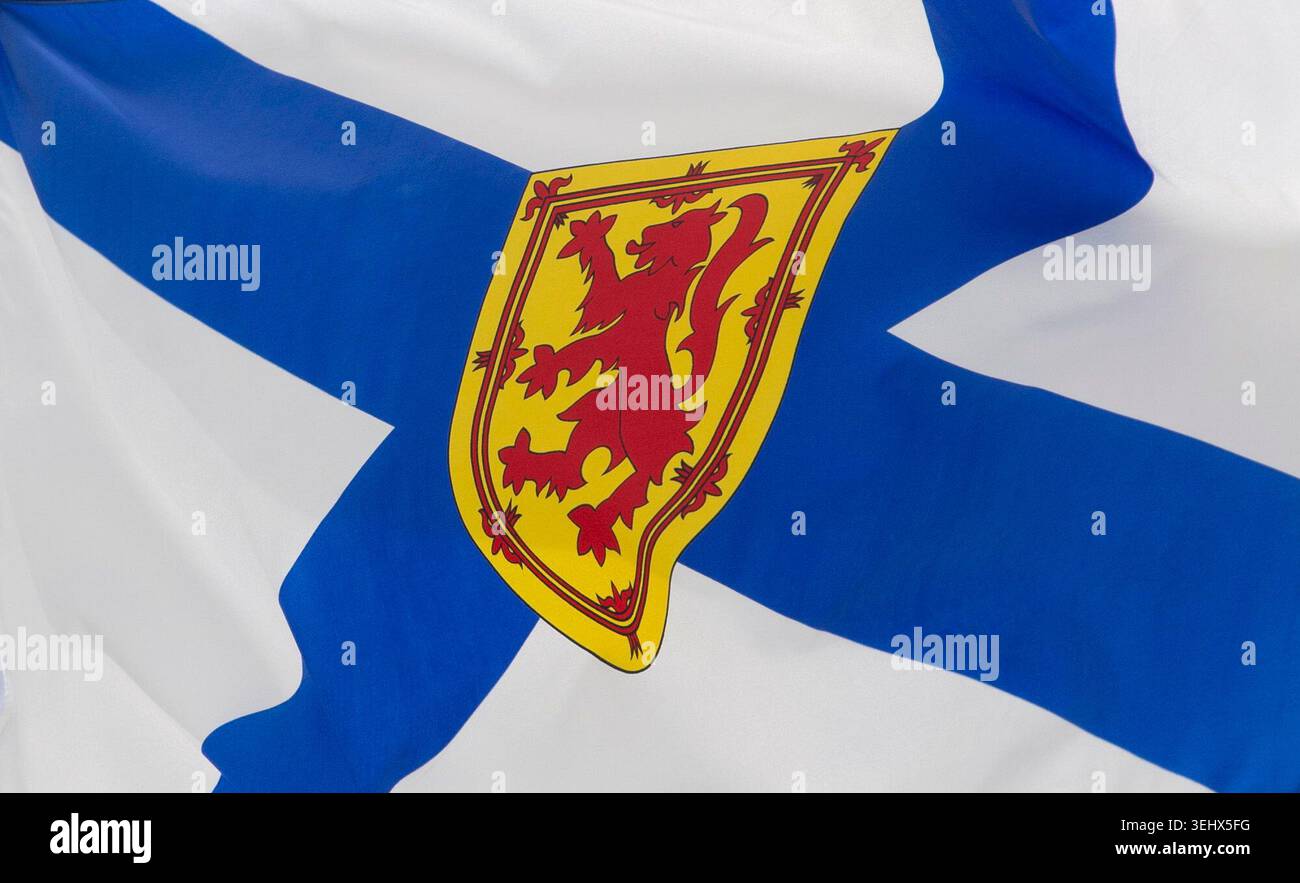 Nova Scotia's provincial flag flies on a flagpole in Ottawa, Friday ...