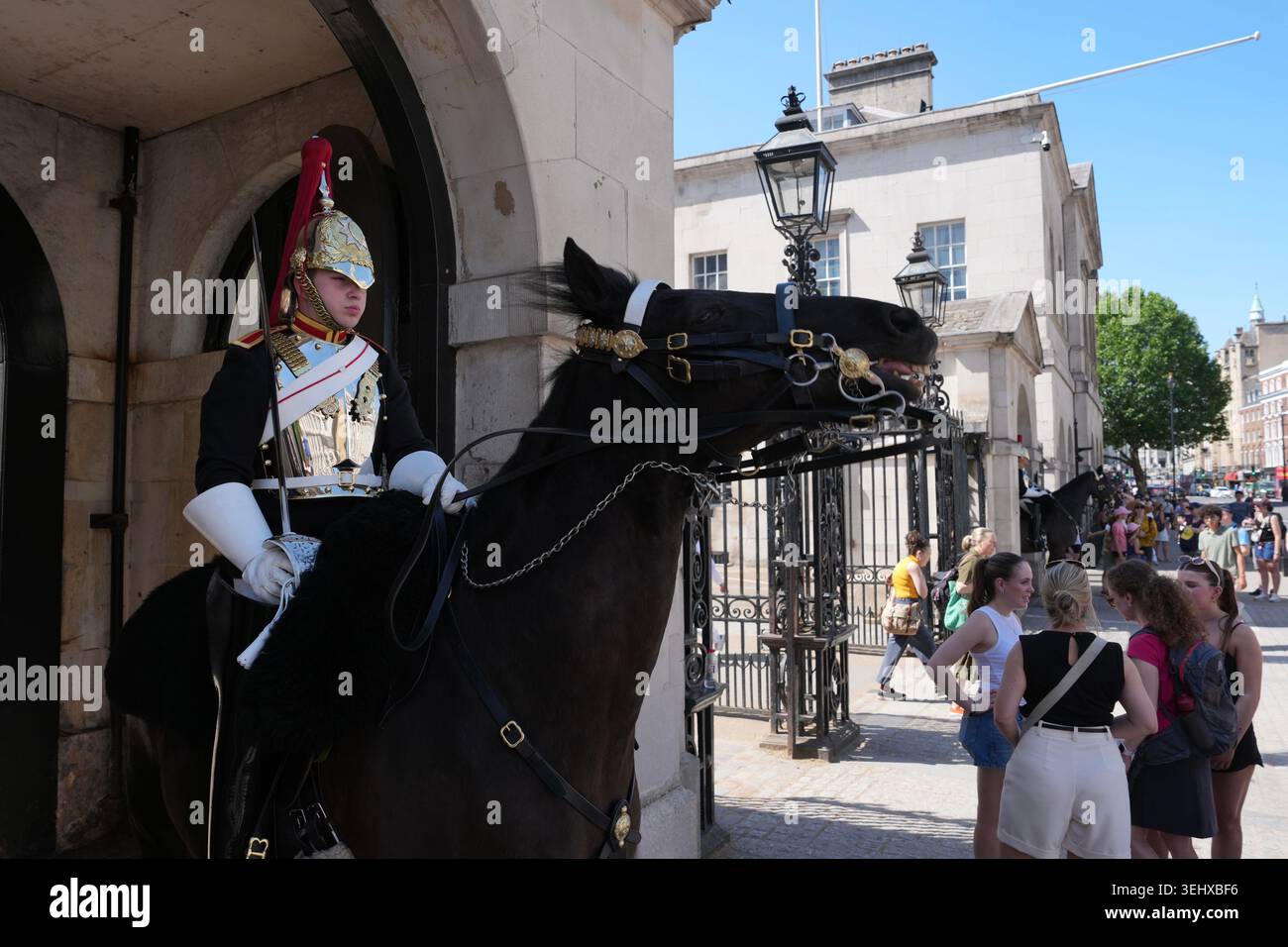 Mounted Guards of the Household Cavalry stand in the shade in London ...