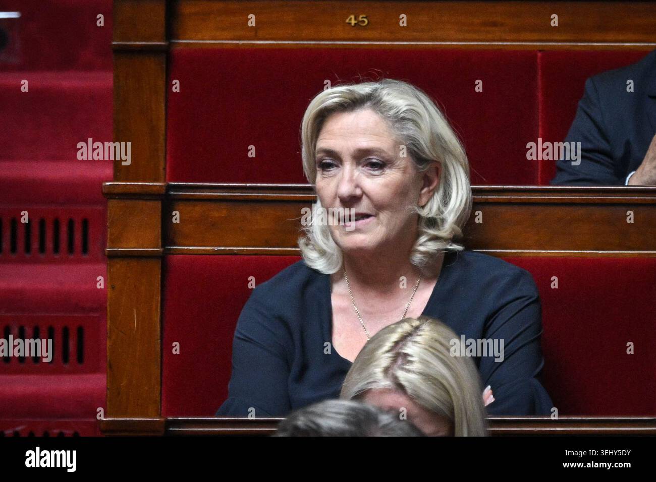 MP President of the National Rassemblement group in the National ...