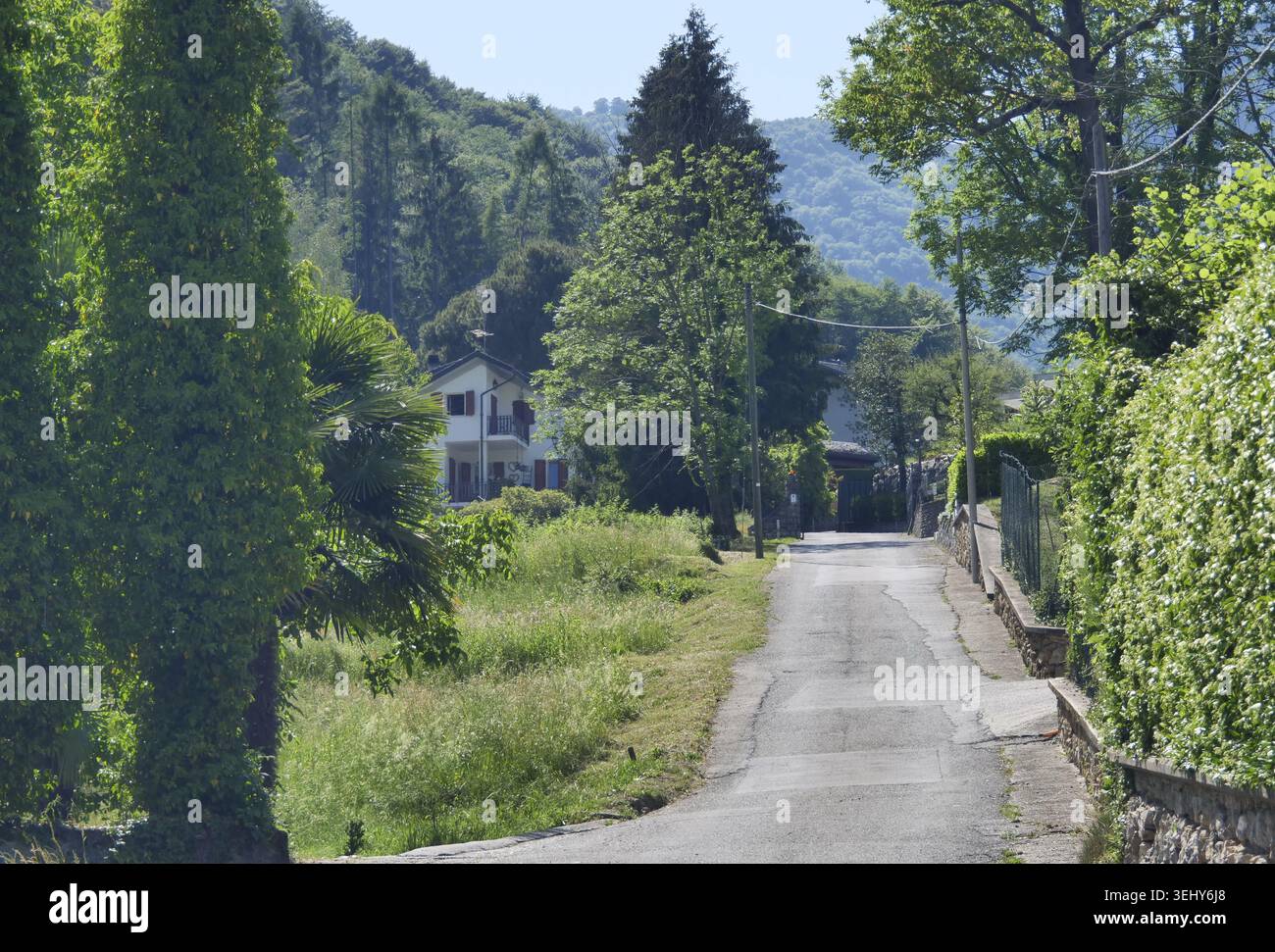 IPA85093086 - Private home and construction company of Francesco Dolci ...