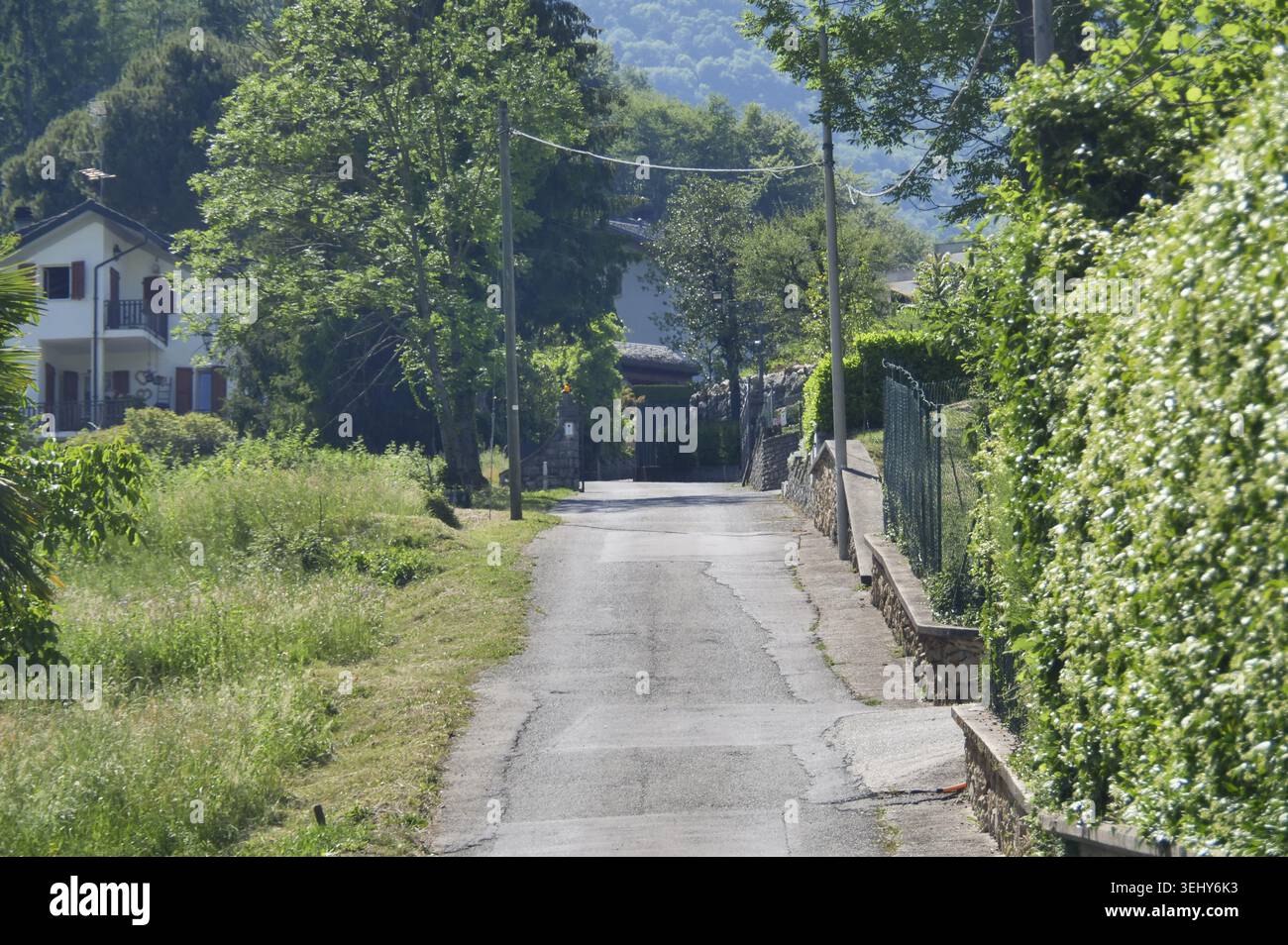 IPA85093069 - Private home and construction company of Francesco Dolci ...